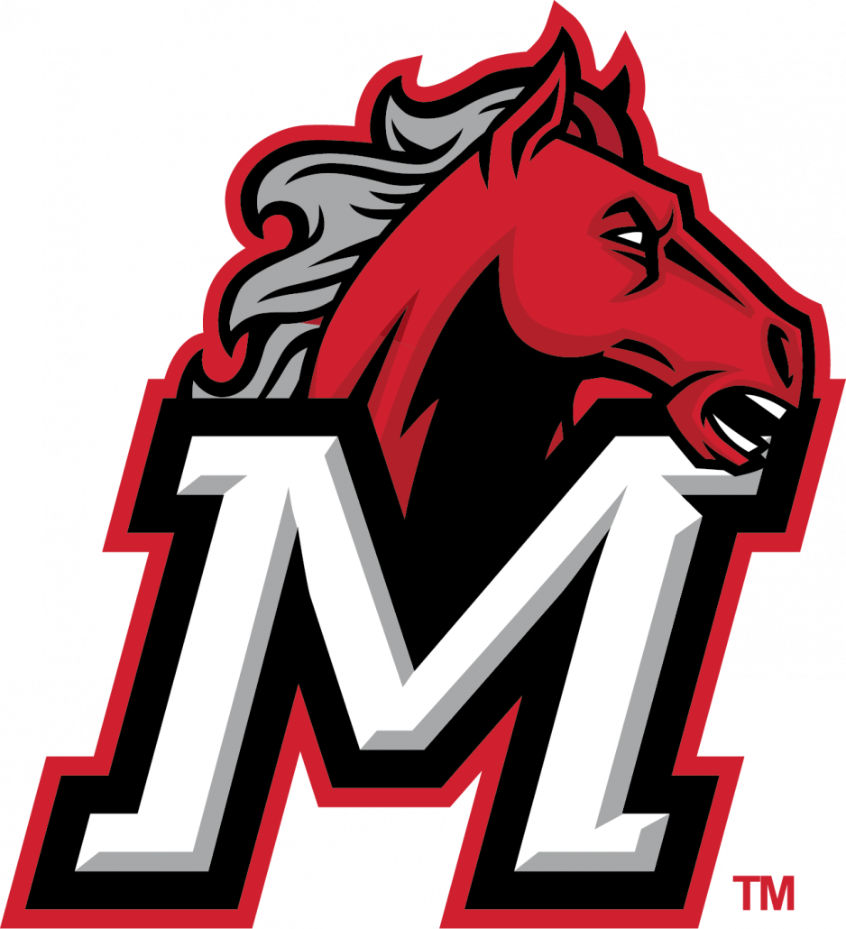 McEver Arts Academy – Hall County Schools Learning Commons